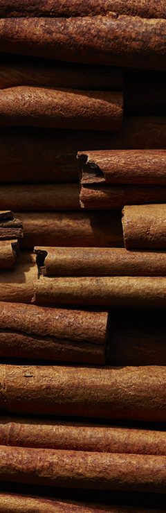 Petra Mint Cinnamon CBD 1:1 Cannabis Edible | Kiva Confections