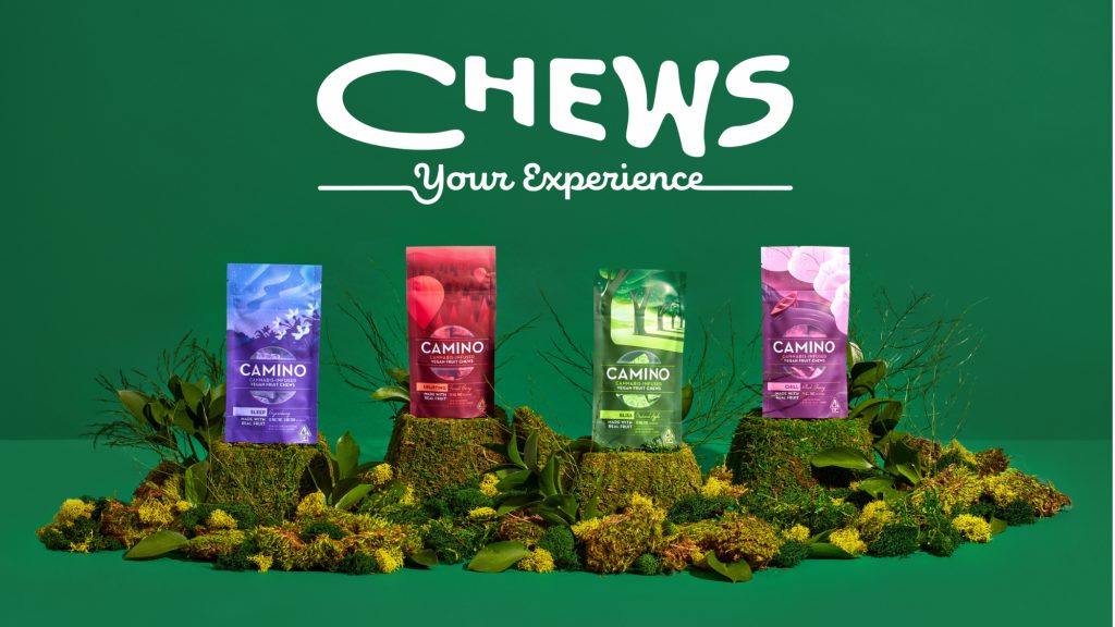 Camino Fruit Chews | Kiva Confections