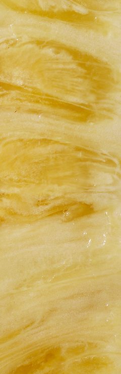 Petra Blackberry CBN Cannabis Edible | Kiva Confections