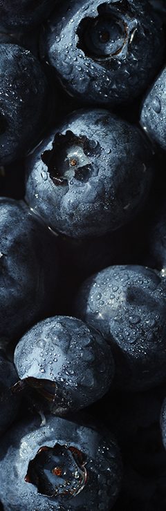 Camino THC/CBN 'Sleep' Midnight Blueberry Gummies | Kiva Confections