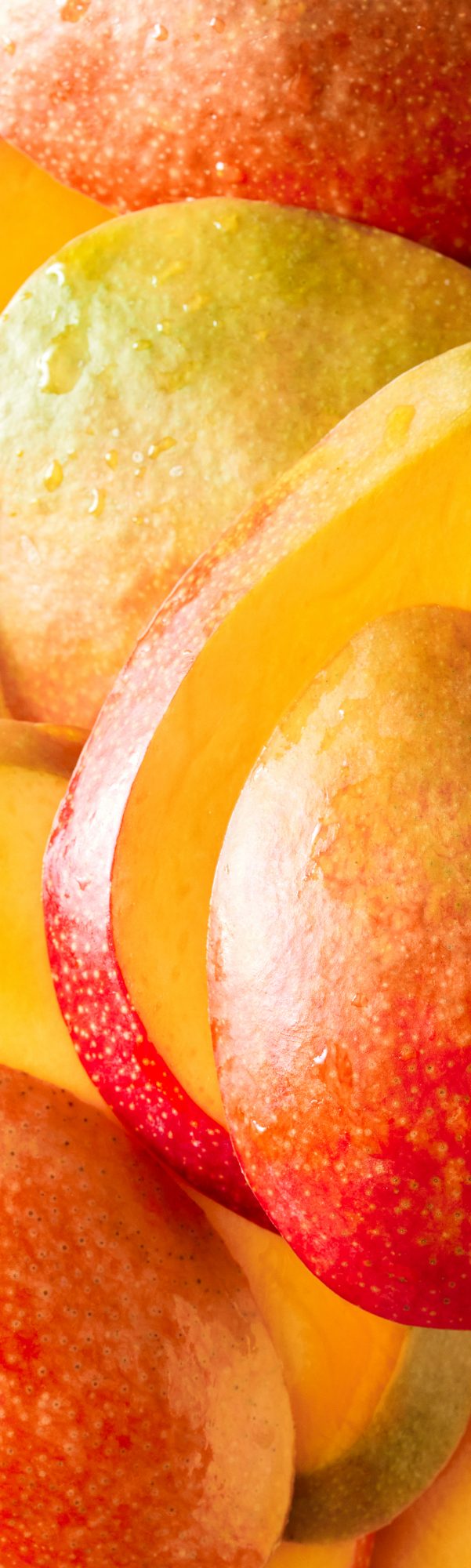 Lost Farm Chili Mango x Golden Cobra Gummies | Kiva Confections